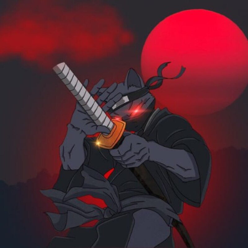 Ninja Cat CTO - $NC: Solana's Shadow Warrior